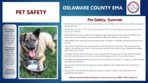 Pet safety . Summer Safety tips - Emergency Management Agency